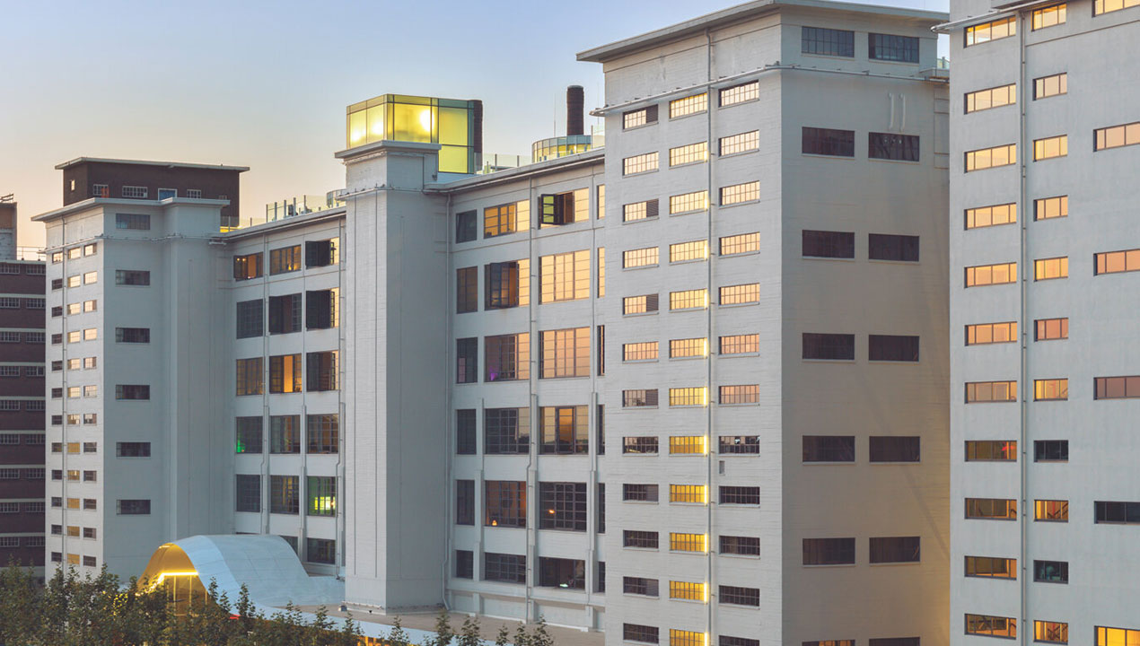 Ferestre și uși ALUMINIU REYNAERS SL 38